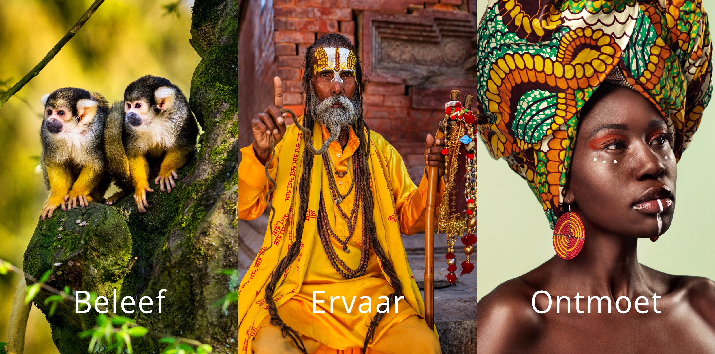 TravelXL Reisburo Borger | TravelXL